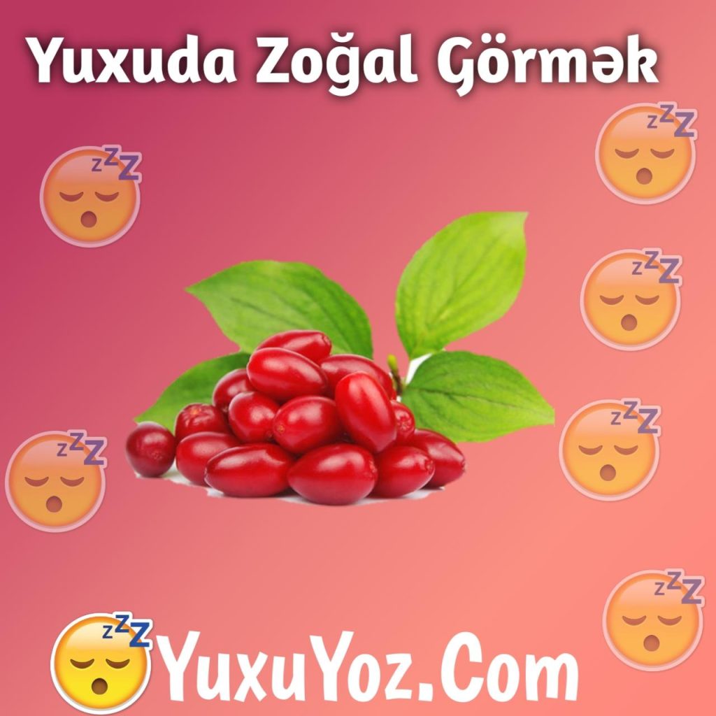 Yuxuda Zogal Gormek 2023 (Tam Izahli)